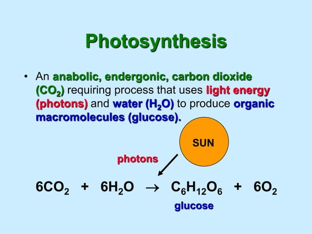 Proses Photosynthesis tumbuhan berklorofil, | PPT | Chemistry | Science