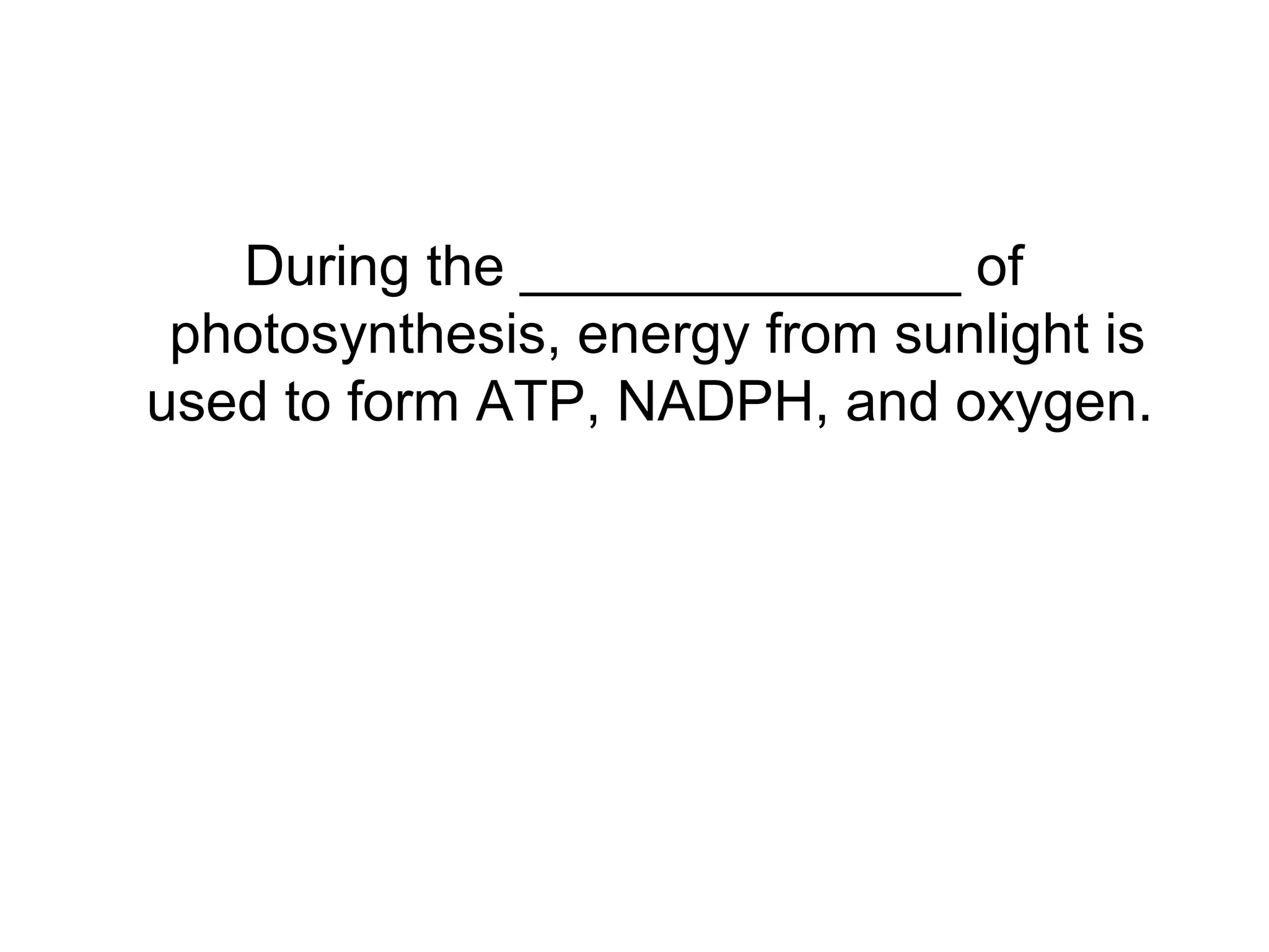 Bio 100 Photosynthesis practice | PPT