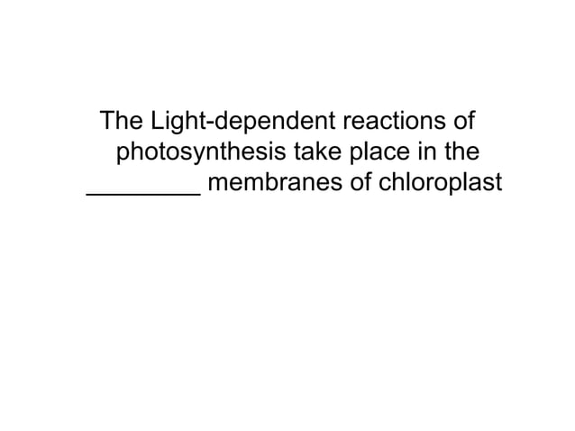 Bio 100 Photosynthesis practice | PPT