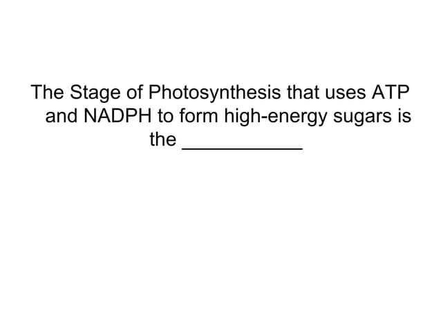 Bio 100 Photosynthesis practice | PPT