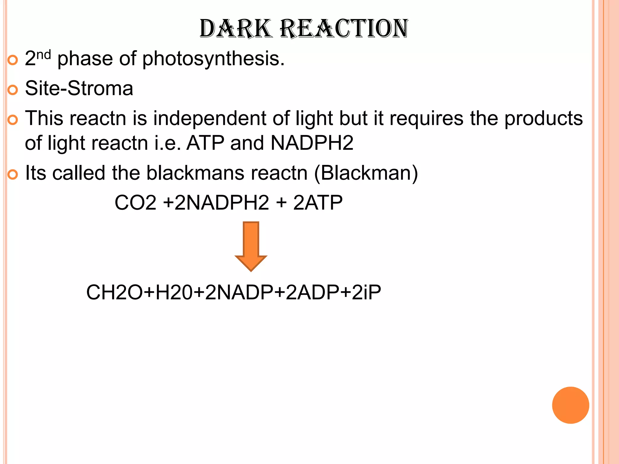 Photosynthesis preeti 12th h.sc