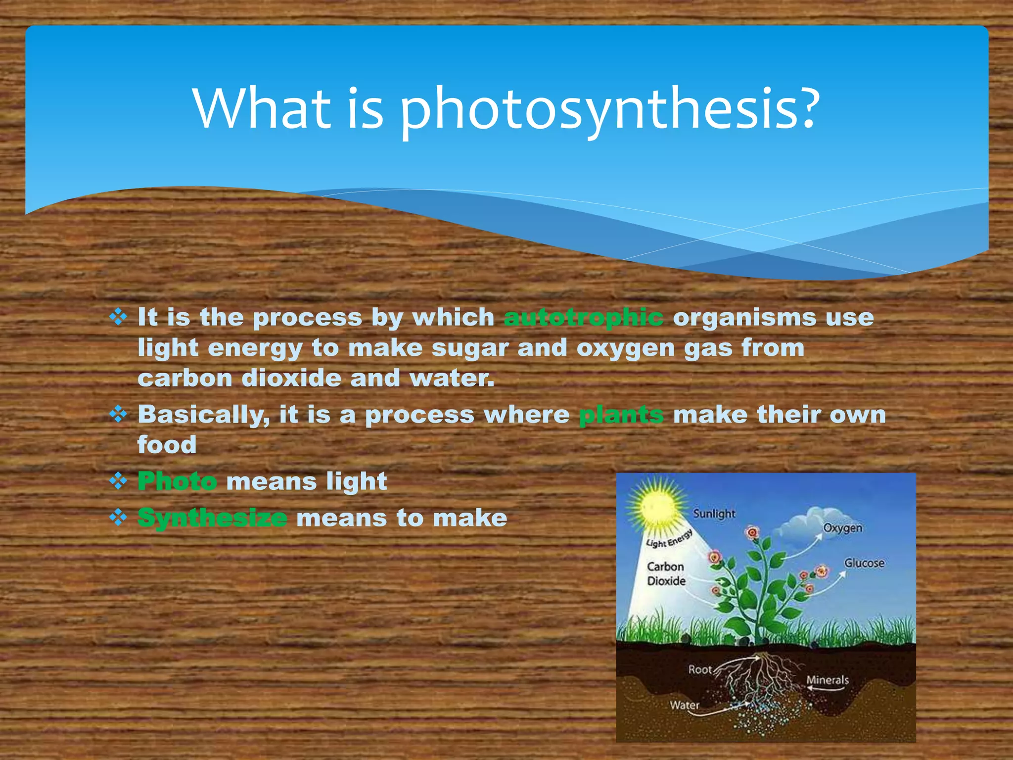 Photosynthesis presentation | PPT