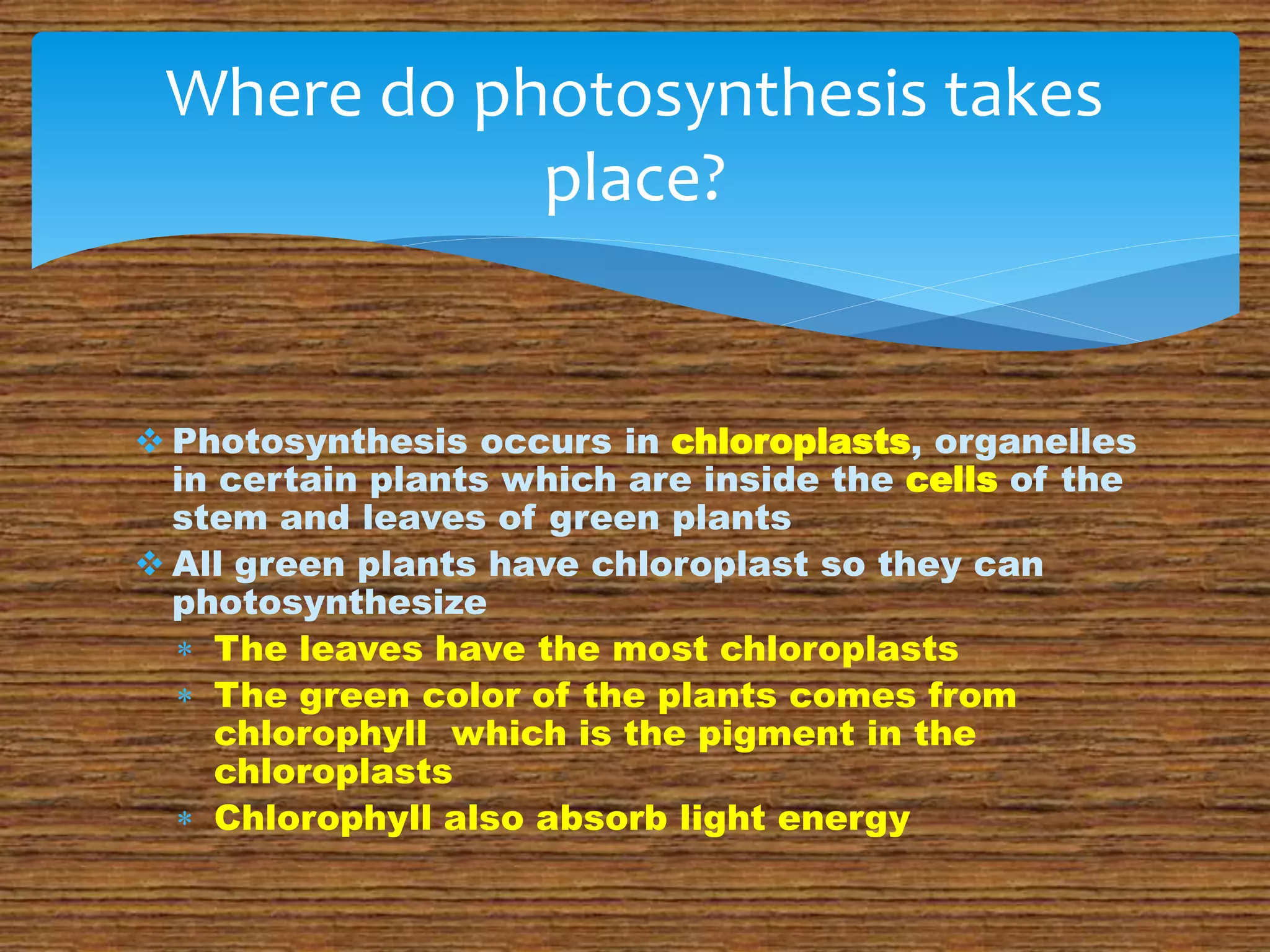 Photosynthesis presentation | PPT