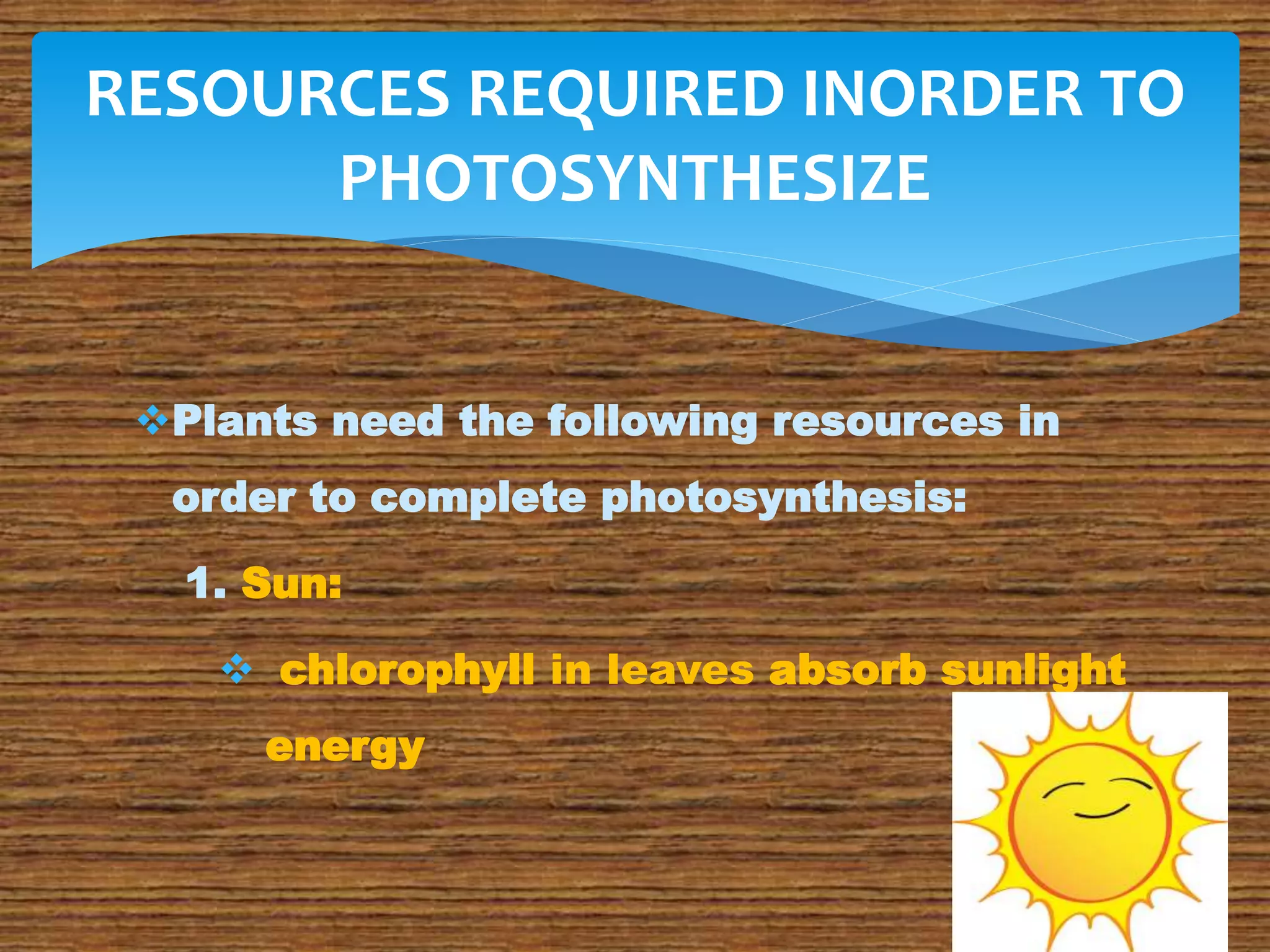 Photosynthesis presentation | PPT