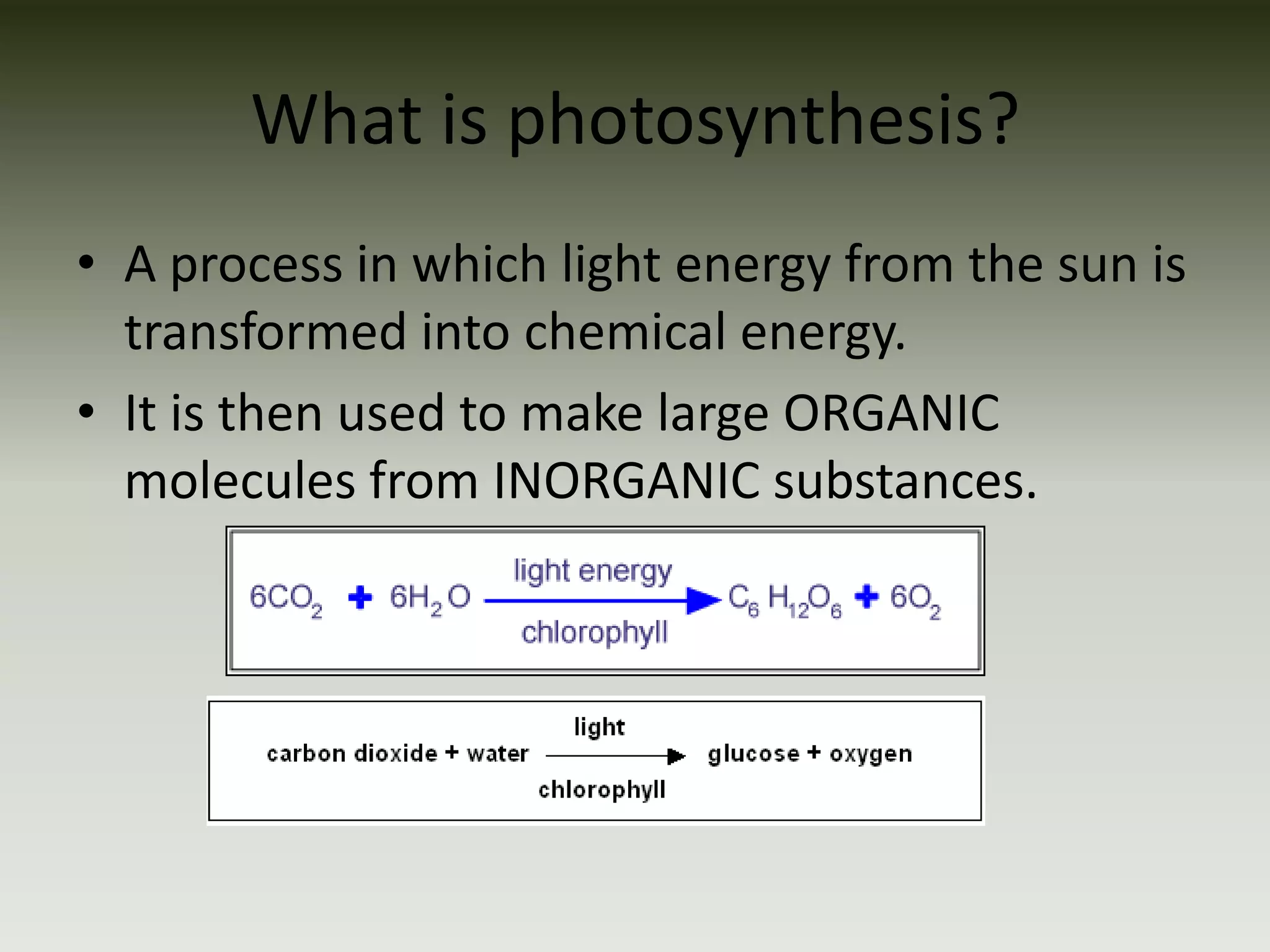 Photosynthesis presentation by me | PPT