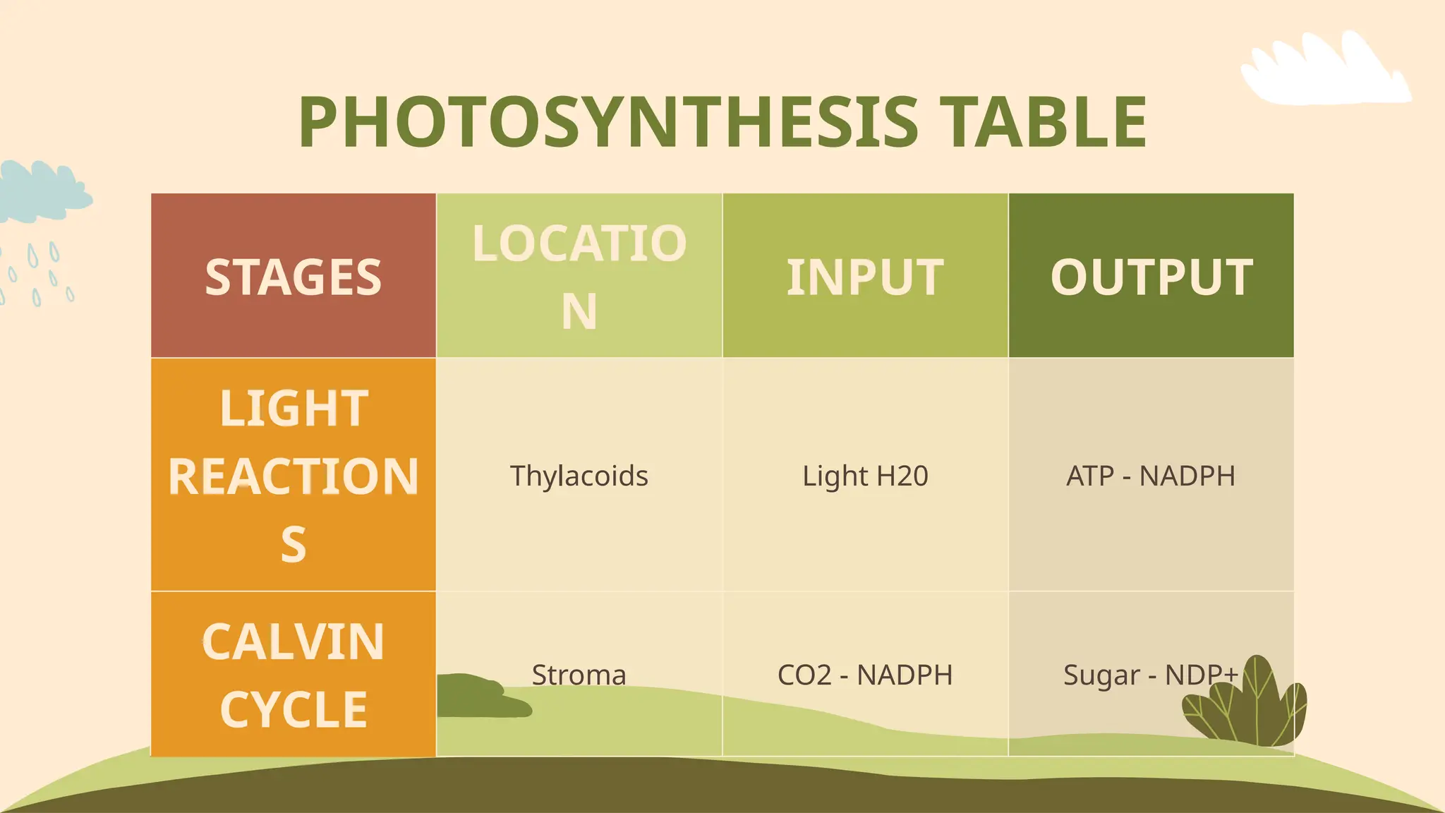 Photosynthesis Process for Education by Slidesgo.pptx