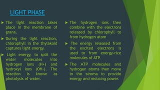 Photosynthesis process slideshare | PPTX