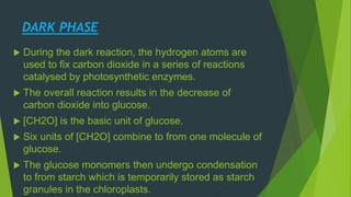 Photosynthesis process slideshare | PPTX