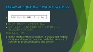 Photosynthesis process slideshare | PPTX