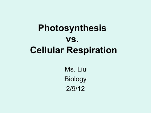 Photosynthesis respiration liu | PPT