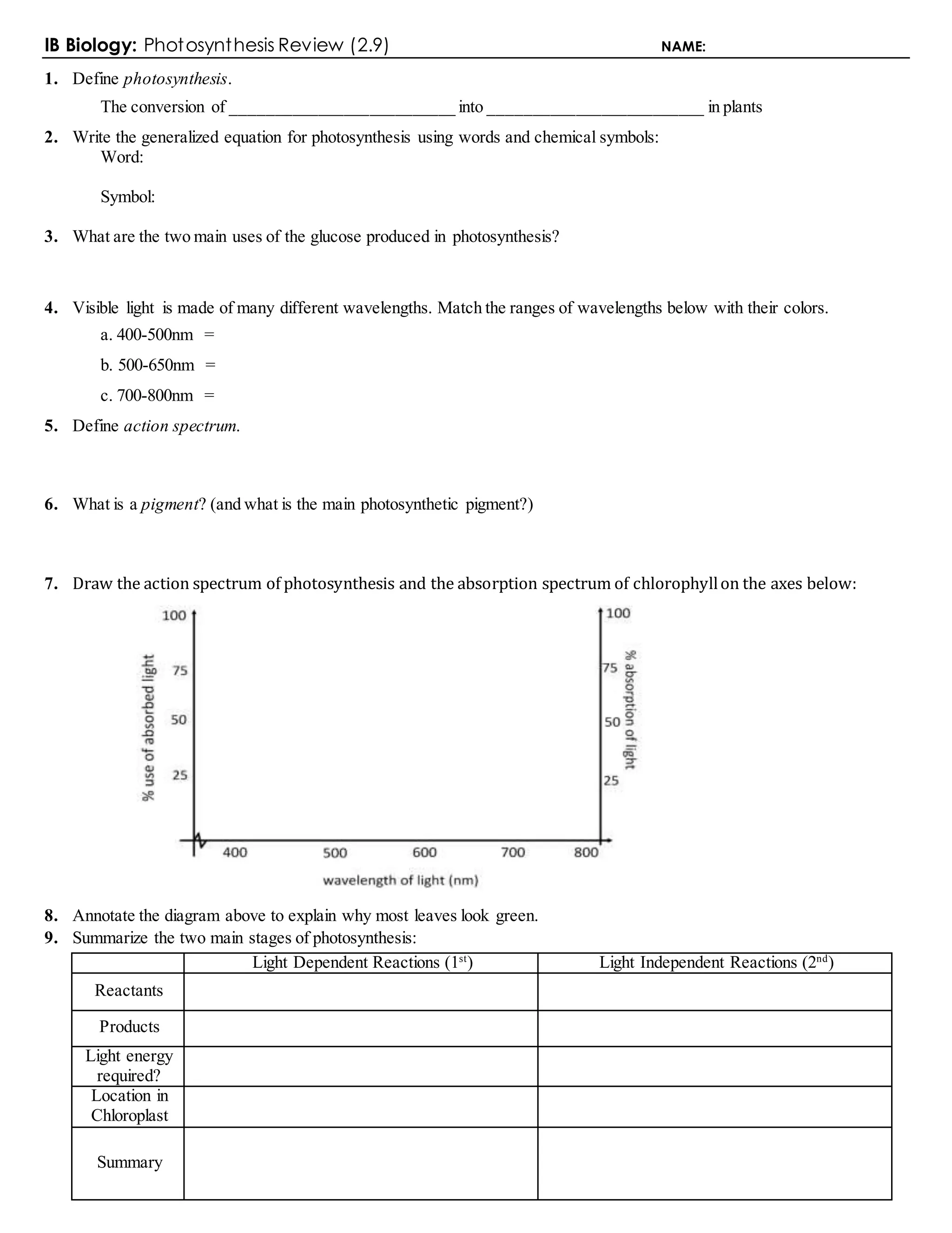 IB Photosynthesis Review (2.9) | DOCX
