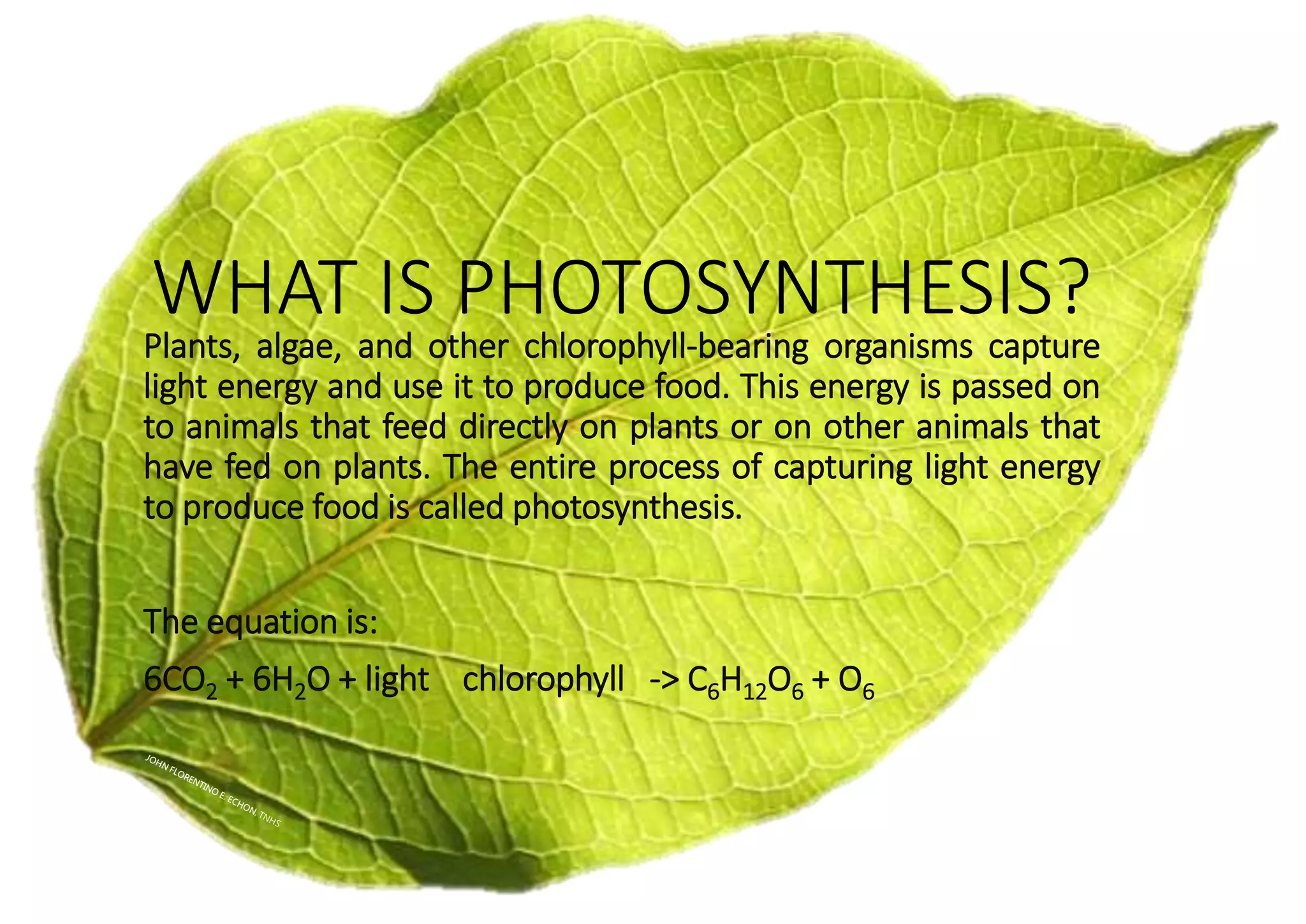 Intervention Material in Science (PHOTOSYNTHESIS) | PPTX