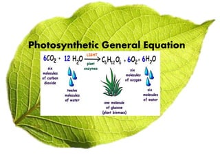 Intervention Material in Science (PHOTOSYNTHESIS) | PPTX