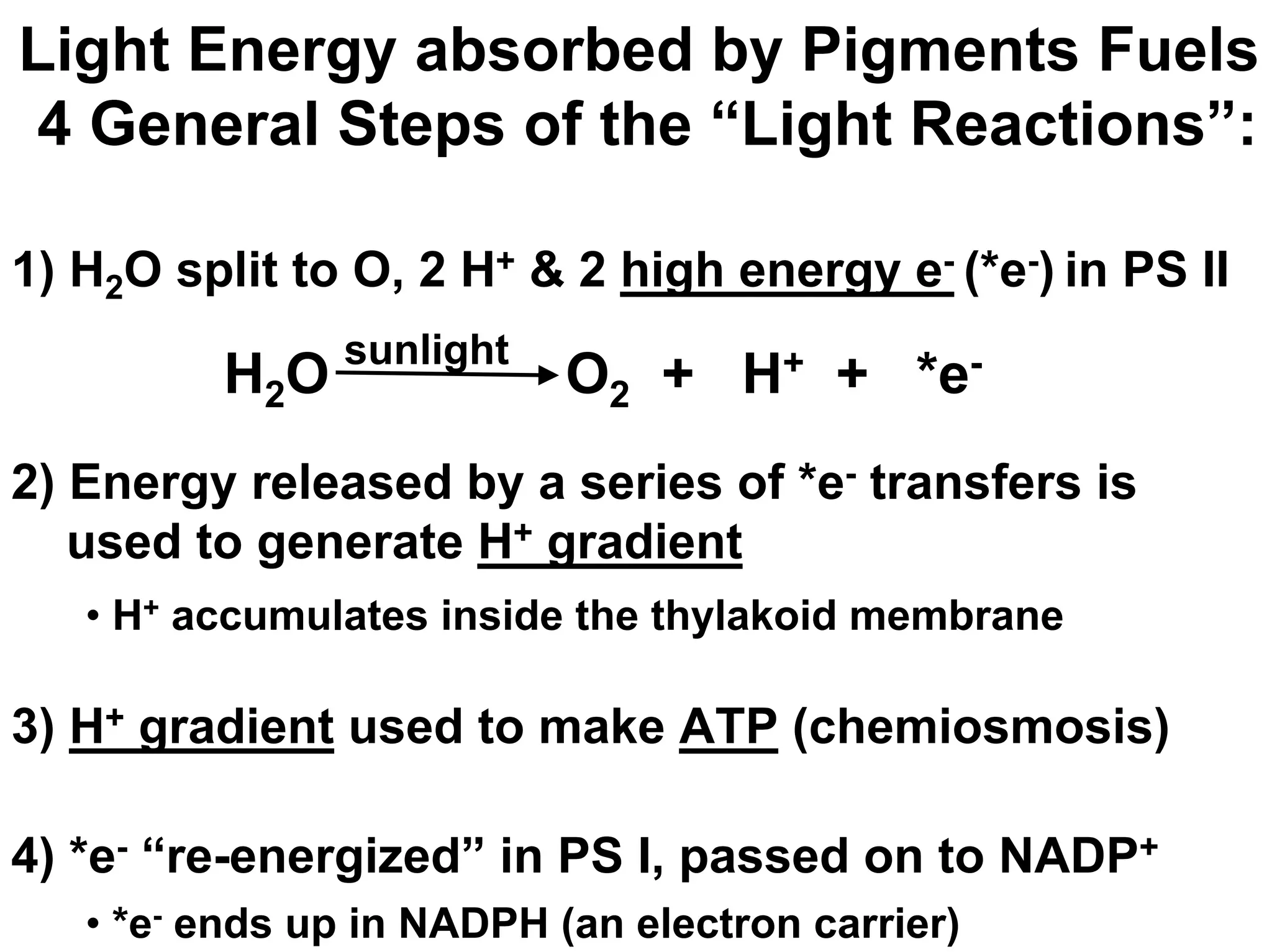 Photosynthesis Slide.pdf