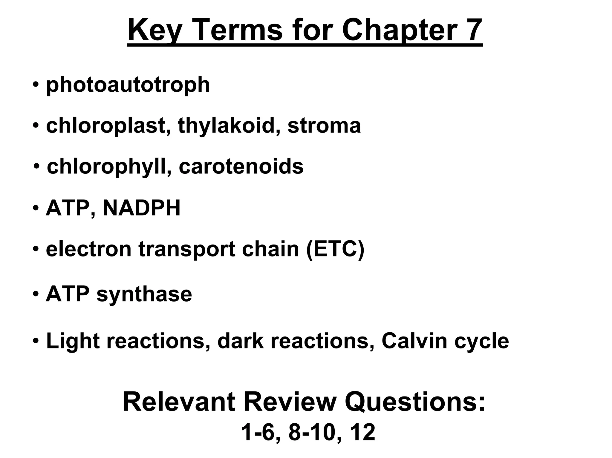 Photosynthesis Slide.pdf