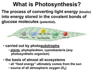 Photosynthesis Slide.pdf