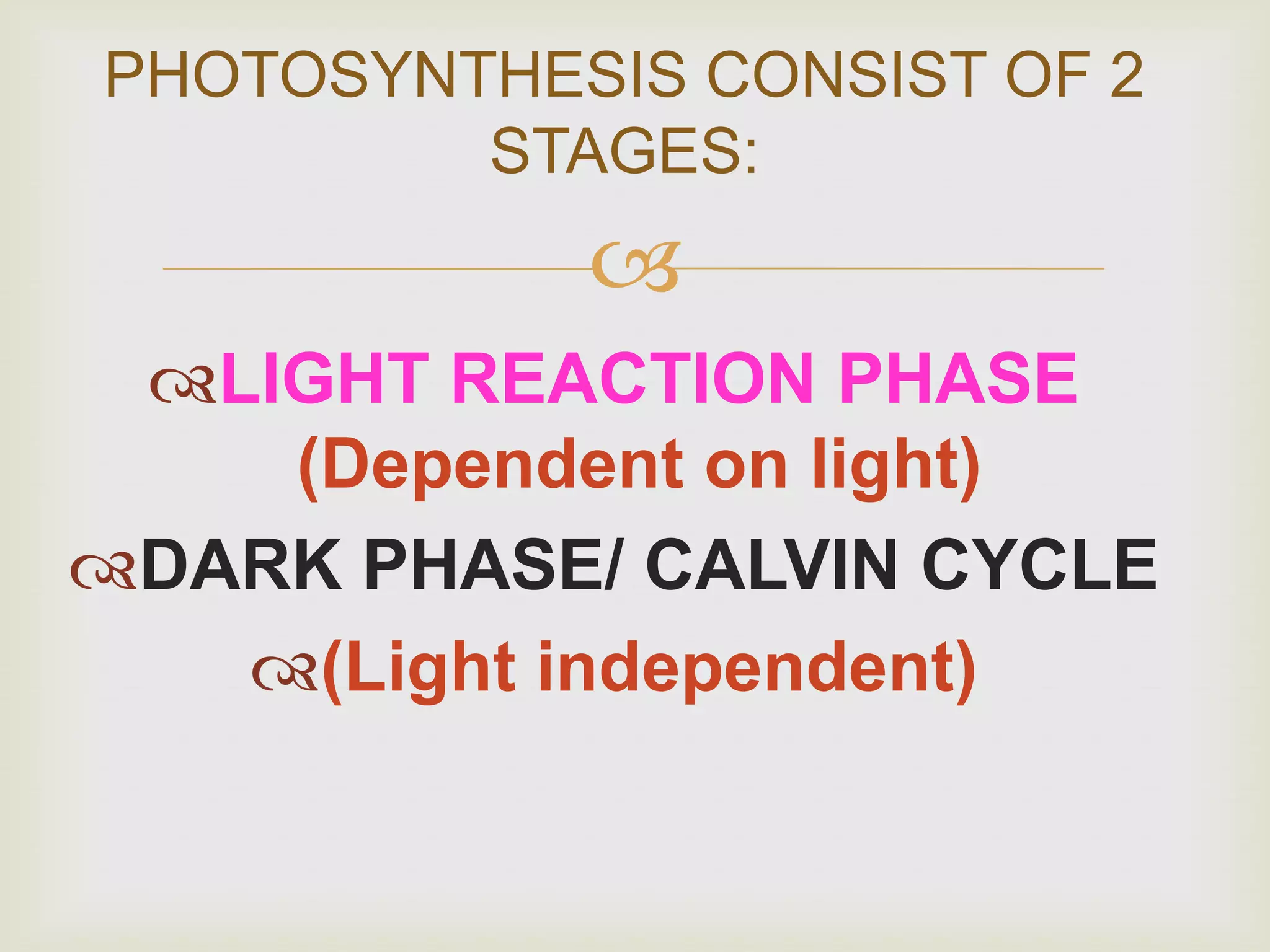 Photosynthesis slides | PPTX
