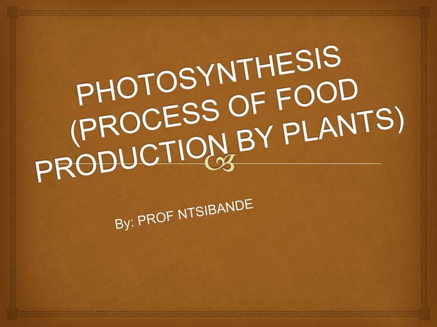 Photosynthesis slides | PPT