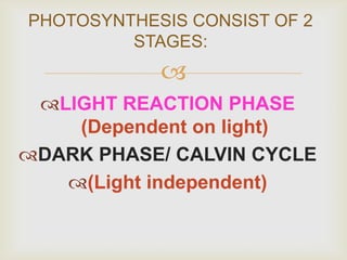 Photosynthesis slides | PPT