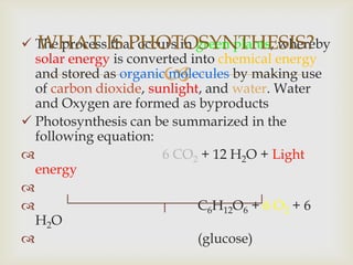 Photosynthesis slides | PPT