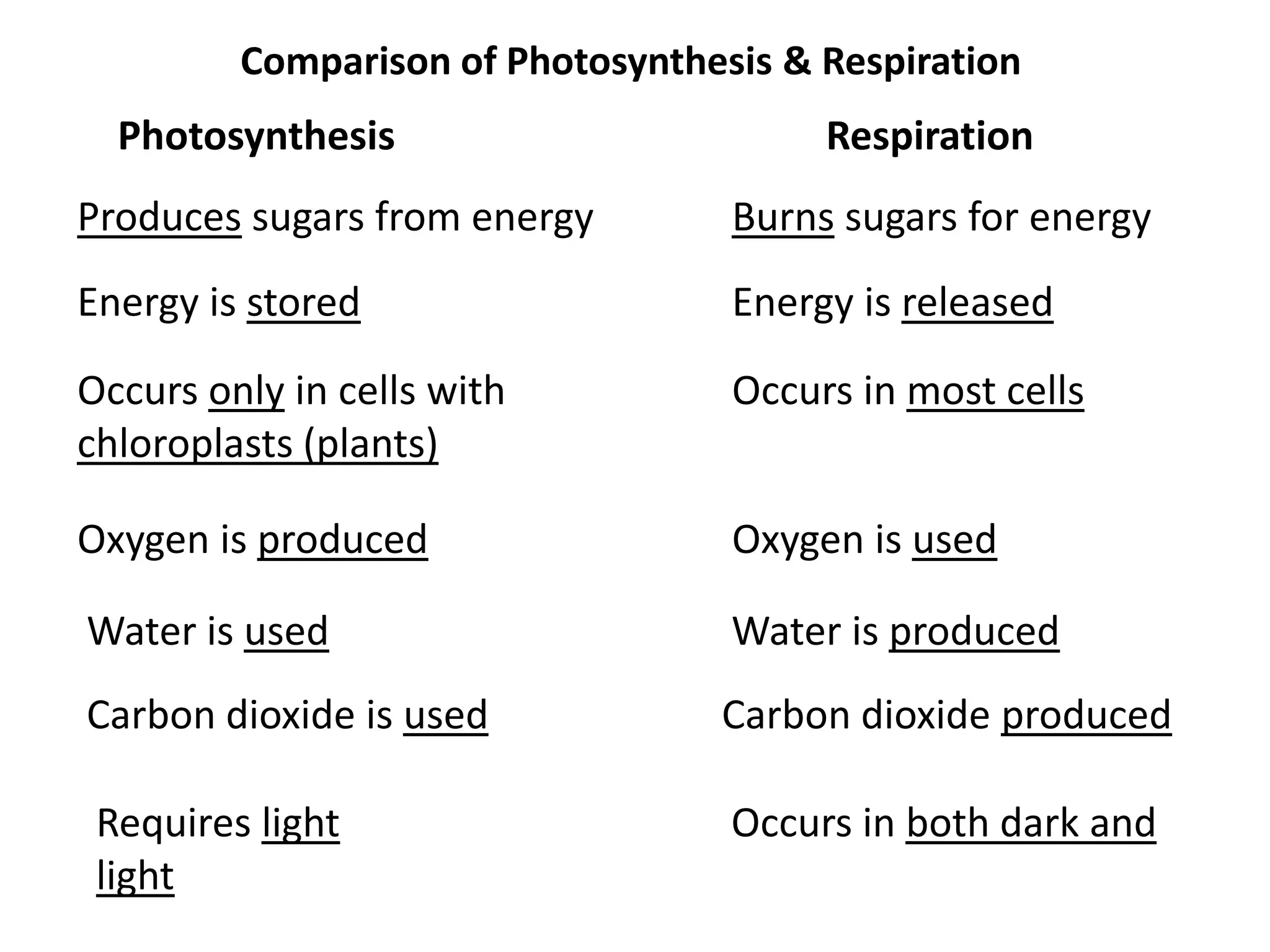 Photosynthesis (teach) | PPTX