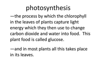Photosynthesis (teach) | PPTX