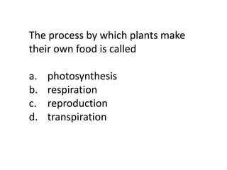 Photosynthesis (teach) | PPTX
