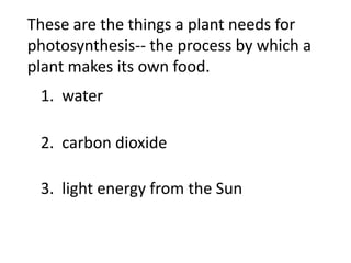 Photosynthesis (teach) | PPTX
