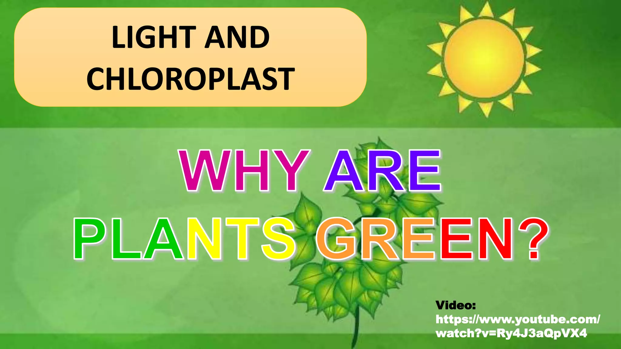 Photosynthesis Topic.pptx | Gardening | Home & Garden
