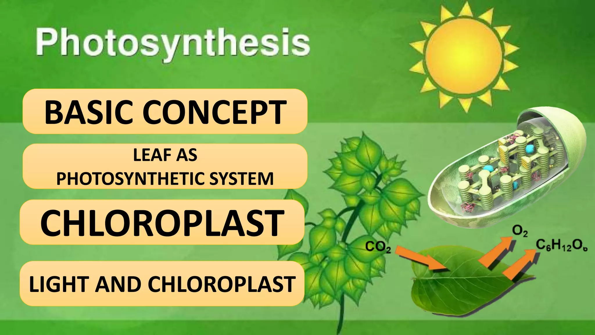Photosynthesis Topic.pptx | Gardening | Home & Garden