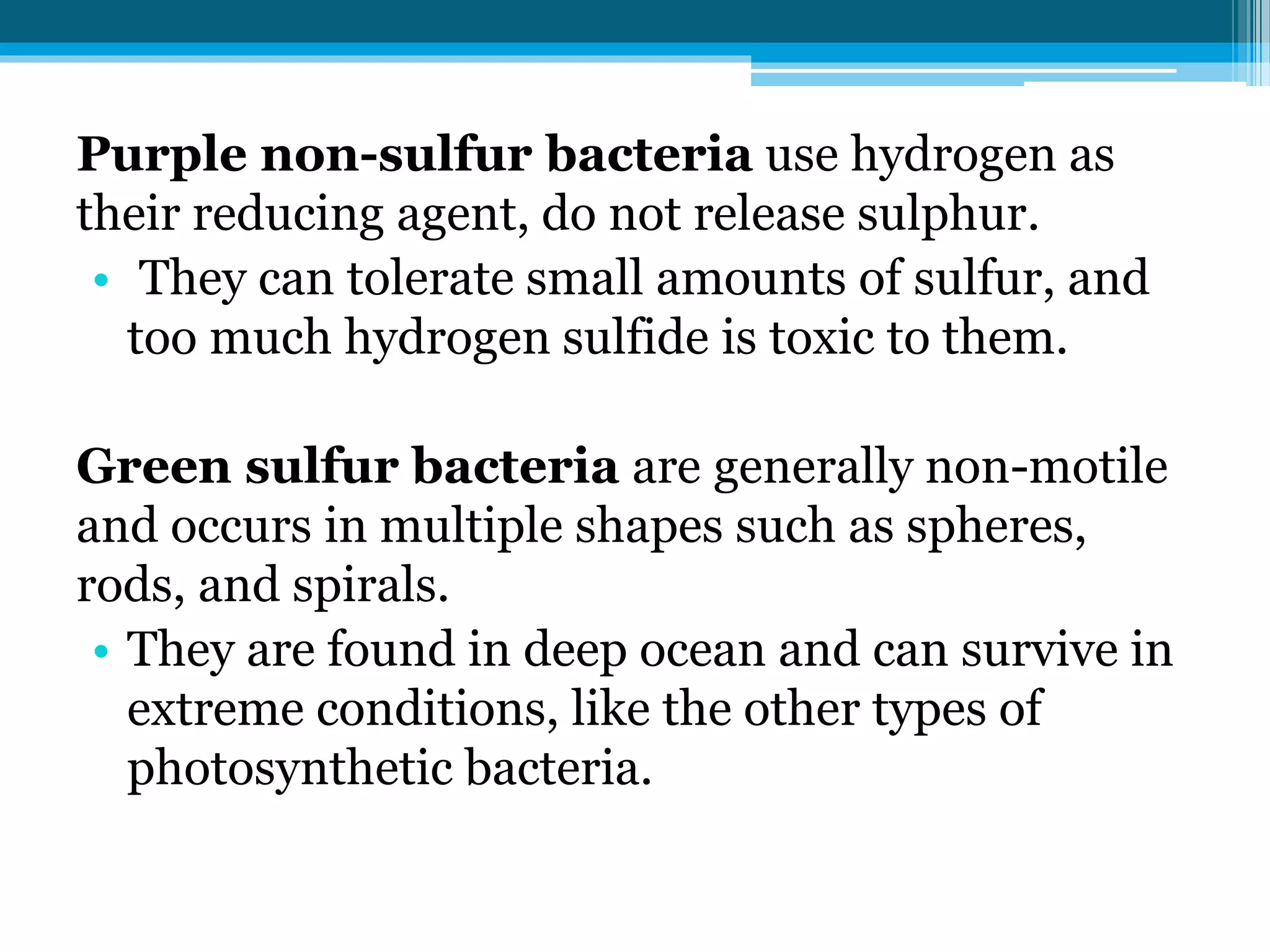 Photosynthesis in bacteria and its types | PPTX