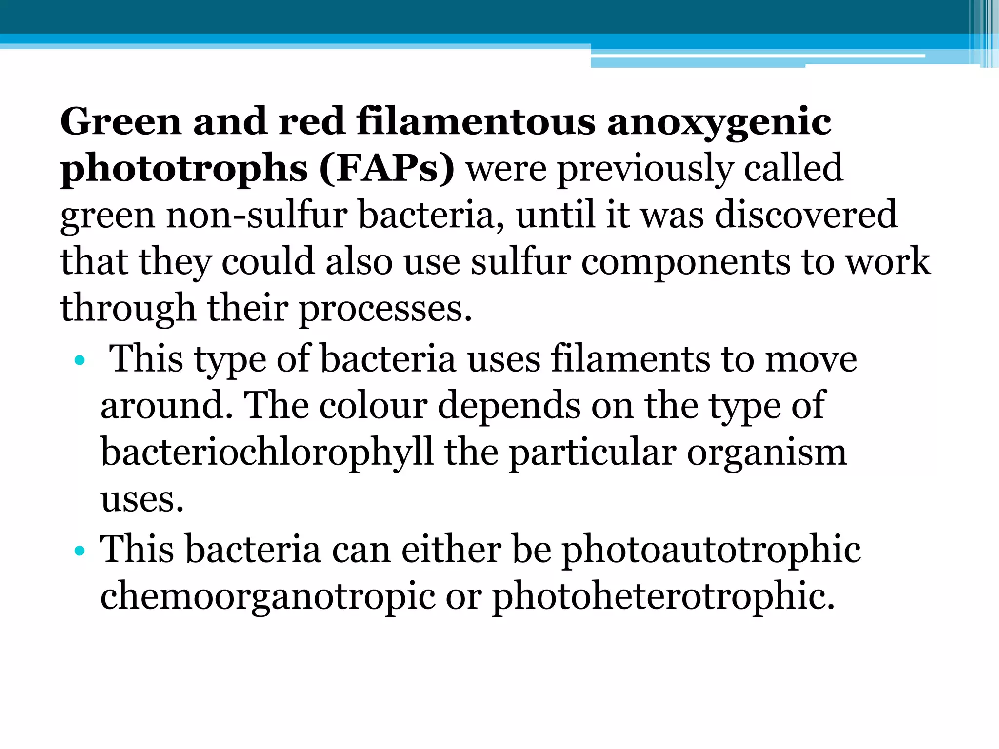 Photosynthesis in bacteria and its types | PPTX
