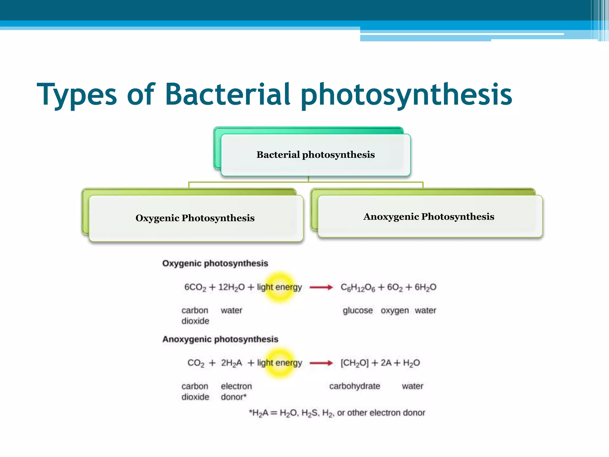 Photosynthesis in bacteria and its types | PPTX
