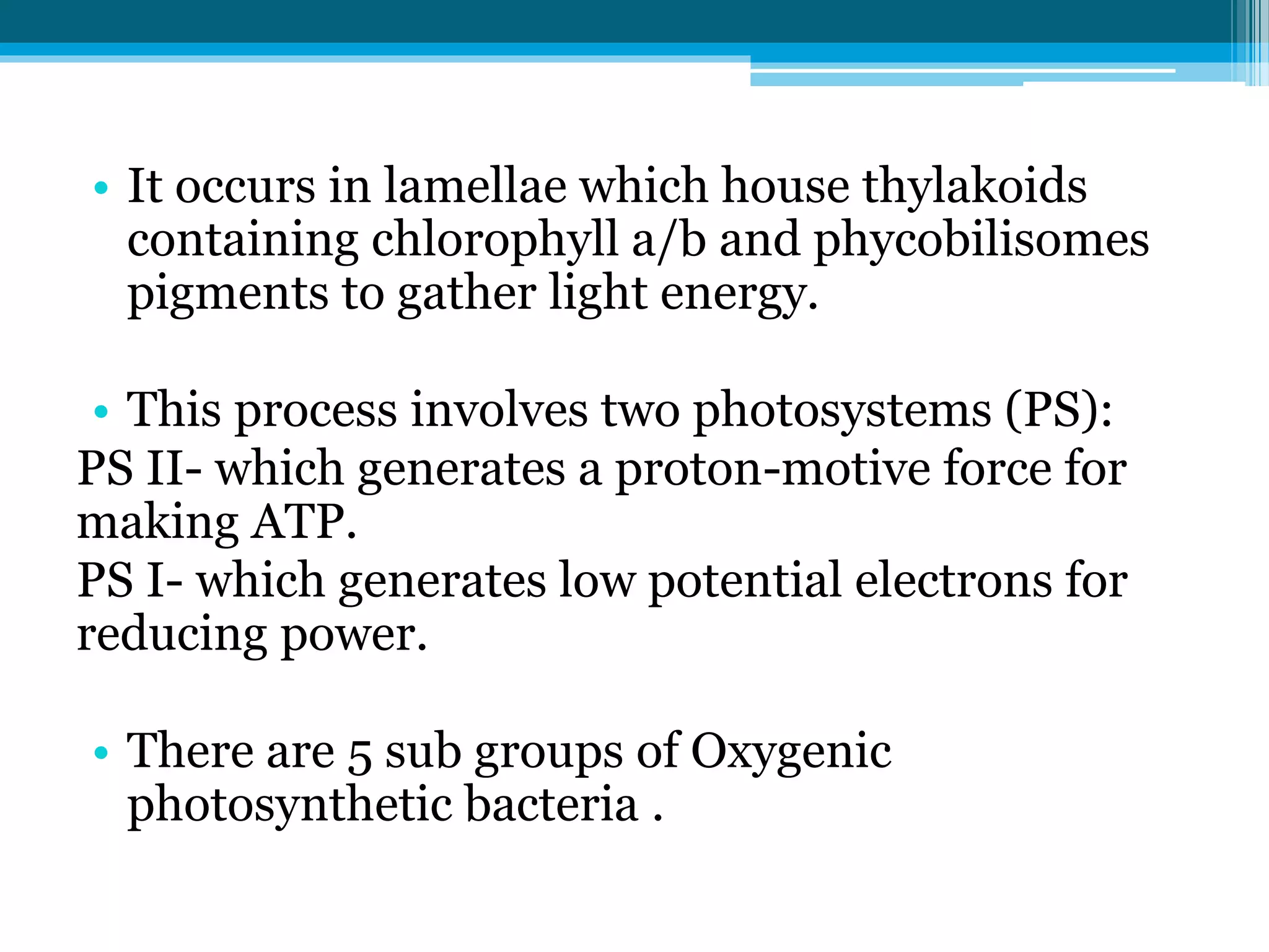 Photosynthesis in bacteria and its types | PPTX