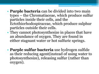 Photosynthesis in bacteria and its types | PPTX