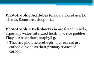 Photosynthesis in bacteria and its types | PPTX
