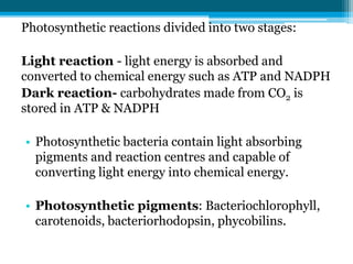 Photosynthesis in bacteria and its types | PPTX