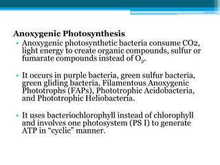 Photosynthesis in bacteria and its types | PPTX