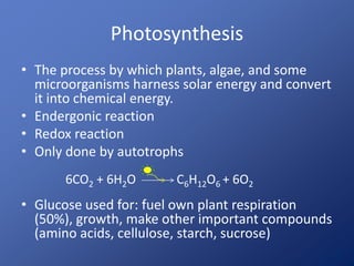 Redox Reaction Photosynthesis