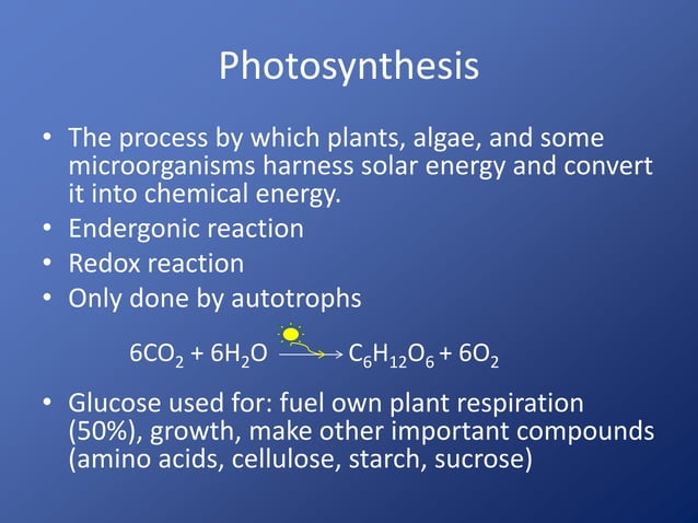 Powerpoint Lecture Notes: Photosynthesis | Biology I