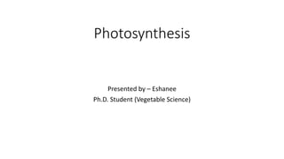 Photosynthesis veg.pptx