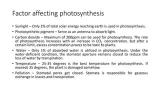 Photosynthesis veg.pptx