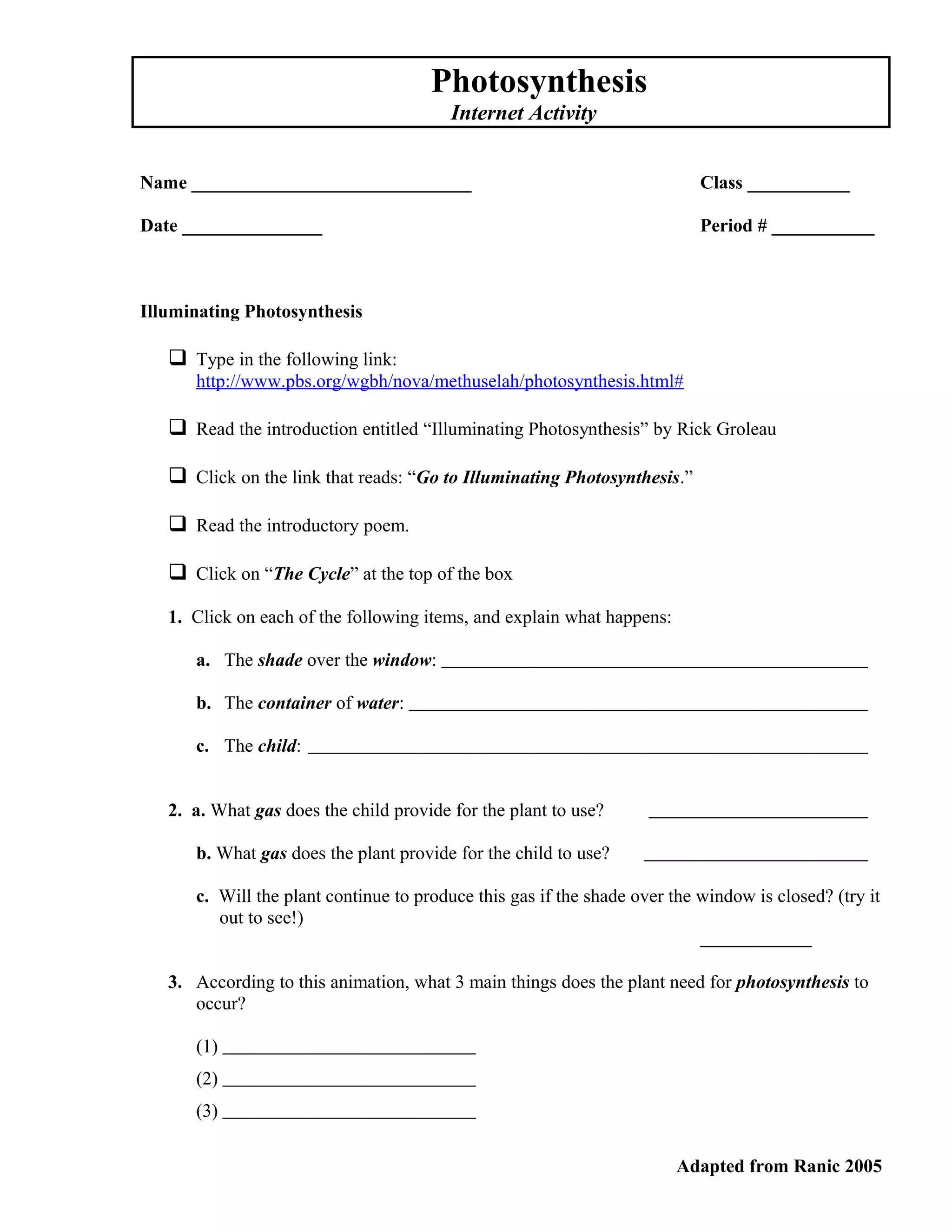 Photosynthesis Webquest | DOC