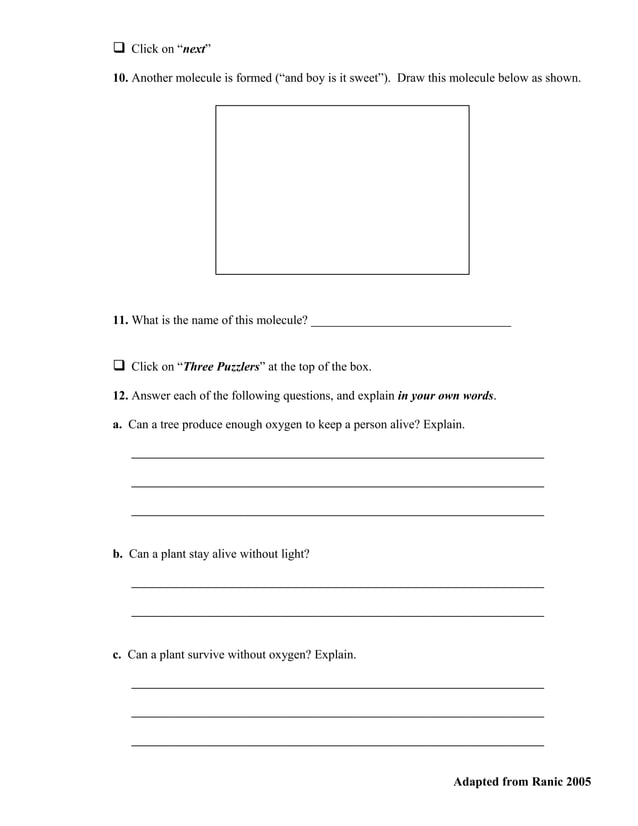 Photosynthesis Webquest | PDF