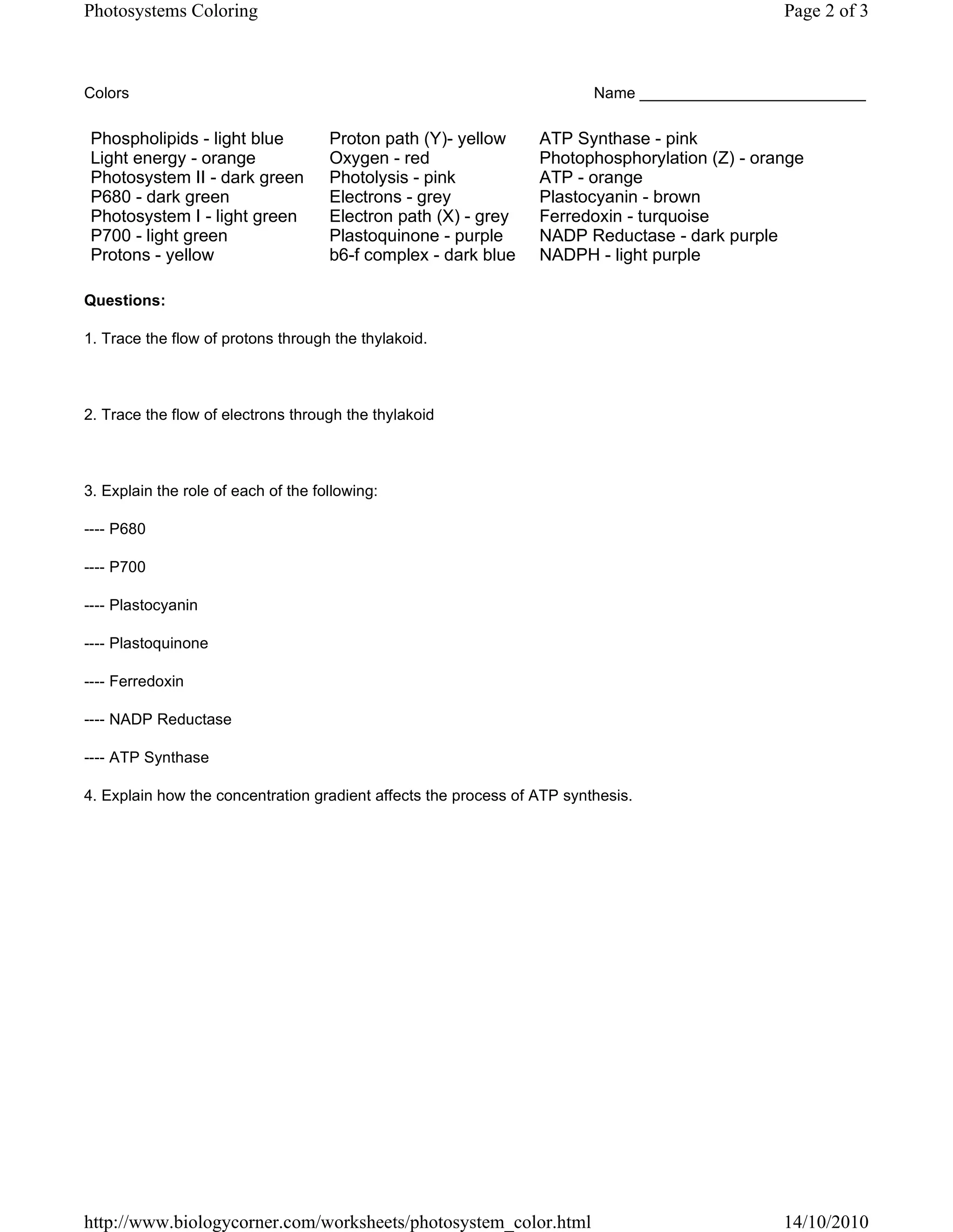 Photosynthesis worksheet | PDF