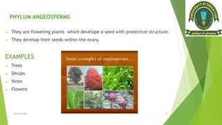Photosynthetic and non photosynthetic plants(1) | PDF