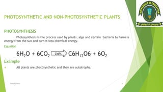 Photosynthetic and non photosynthetic plants(1) | PDF