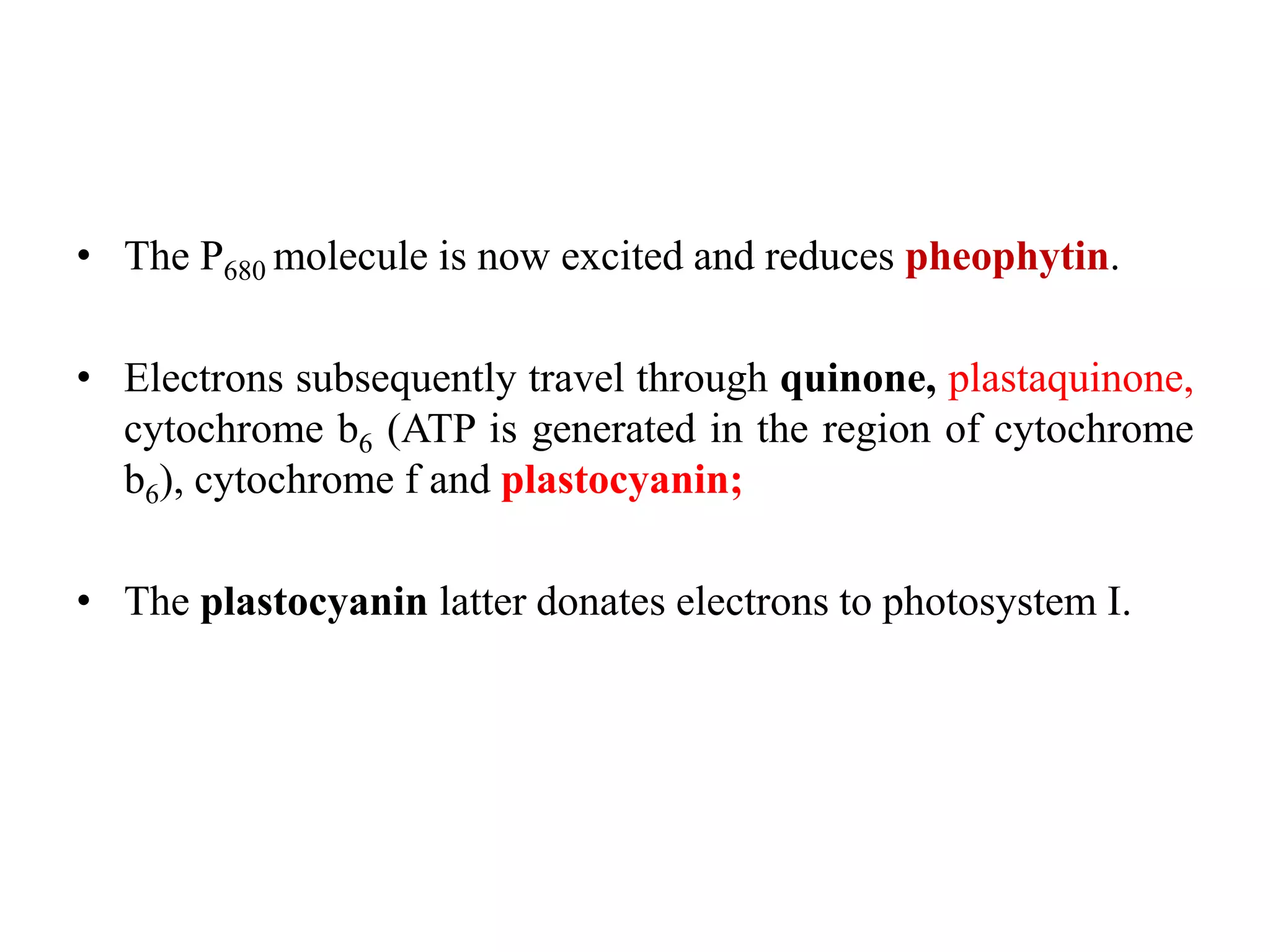Photosynthetic apparatus in bacteria | PPTX