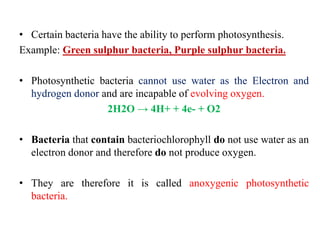 Photosynthetic apparatus in bacteria | PPTX