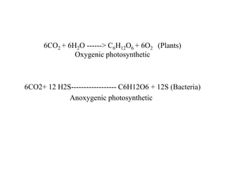 Photosynthetic apparatus in bacteria | PPTX